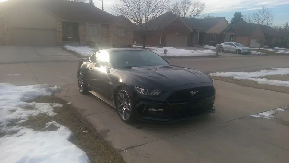front profile.jpg